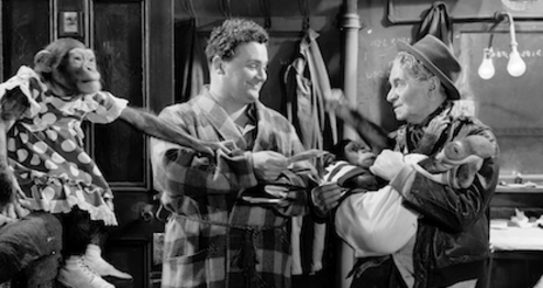 Davy - Film | Park Circus