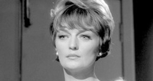 The Primitives - Film | Park Circus